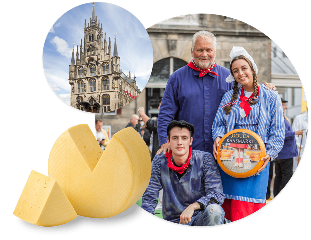 Gouda Cheese
