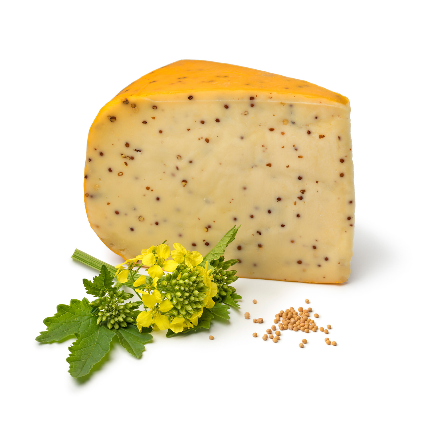 Gouda Mustard - Gouda-Cheese.com